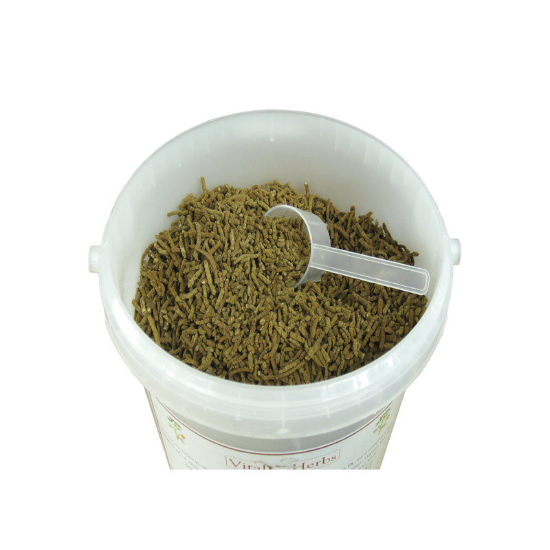 Vital Herbs : Biotine Forte granules