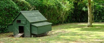 Portier automatique pour poulailler pour protéger ses poules