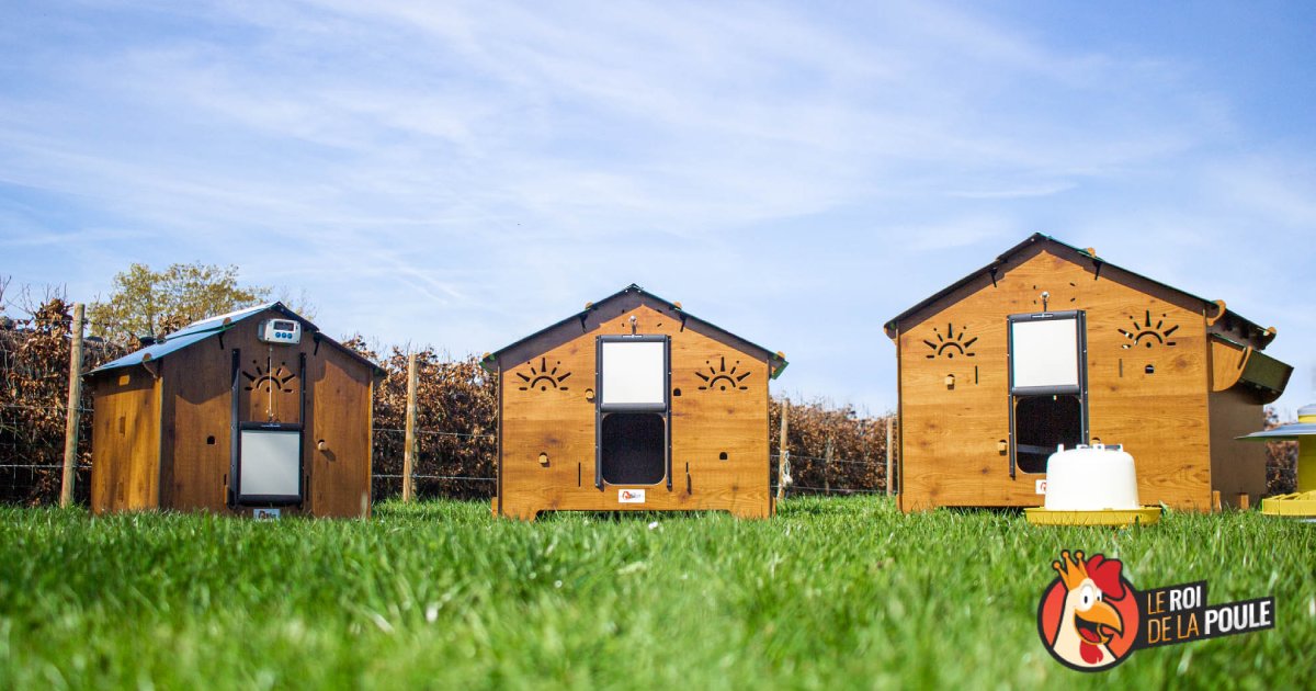 L’énergie renouvelable pour la sécurité de son poulailler